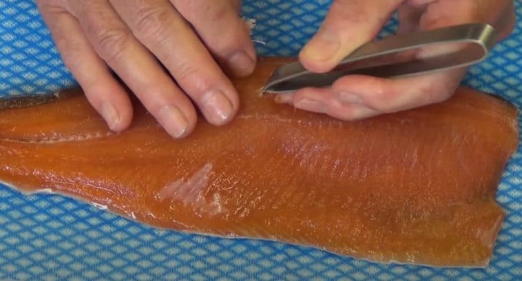 Easy Smoked Trout Fillets | Mad Backyard