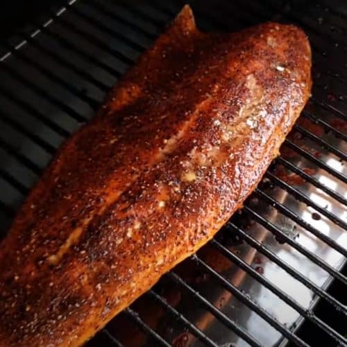 How to Make Smoked Salmon on a Traeger Pellet Grill - Mad Backyard