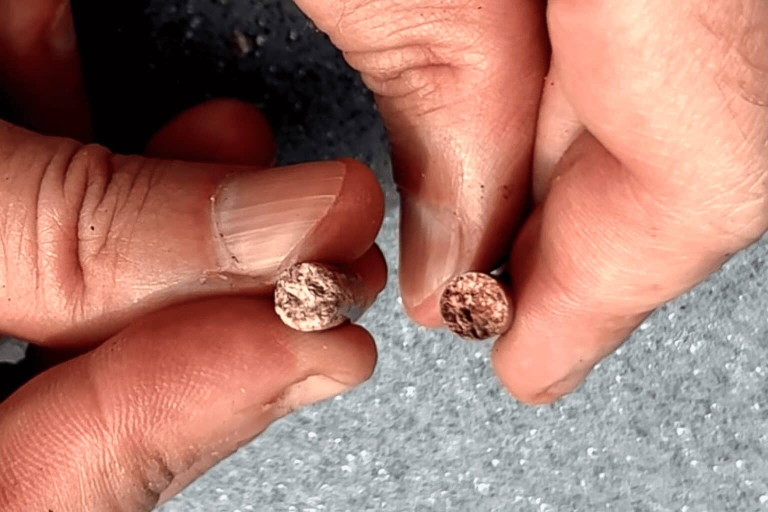 How to Light a Pellet Tube for More Smoke Flavor | Mad Backyard